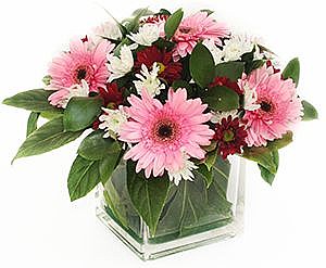 Melody | sendflowers flowers